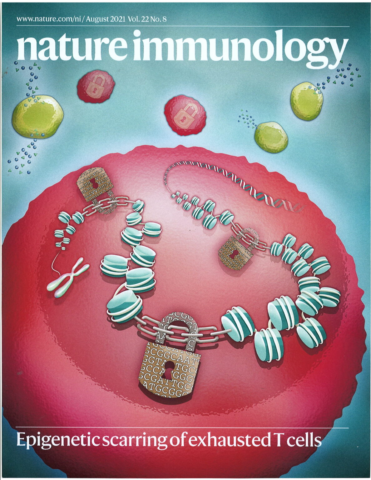 Publications – The Sen Lab